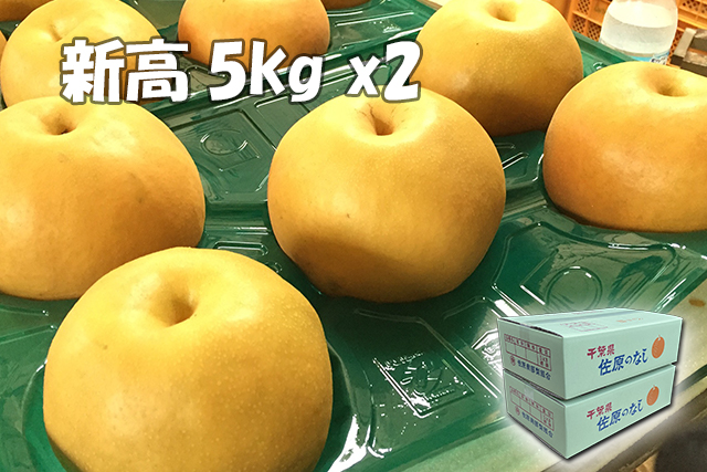 高はし梨園ネットショップ / 梨